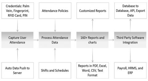 Time Attendance Management System | Employee Attendance Management Software